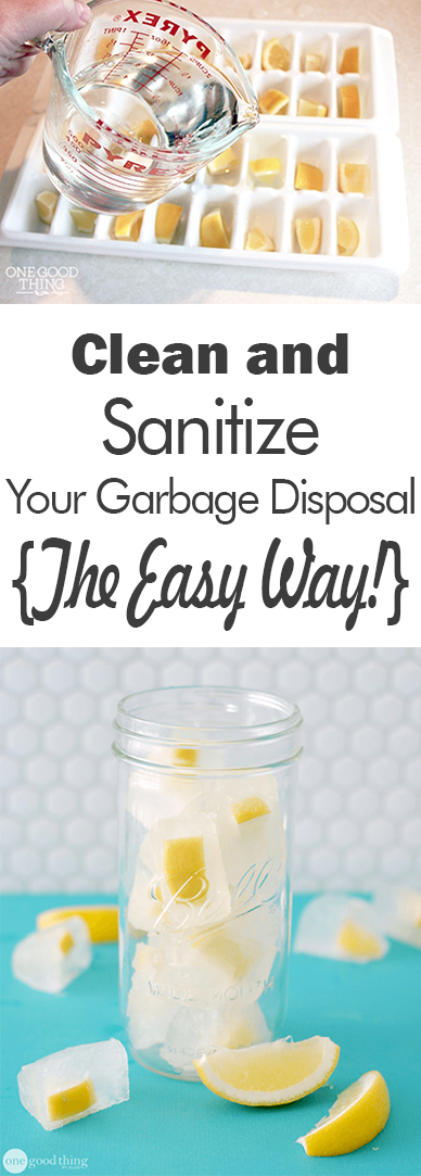 Clean and Sanitize Your Garbage Disposal {The Easy Way!} | 101 Days of ...