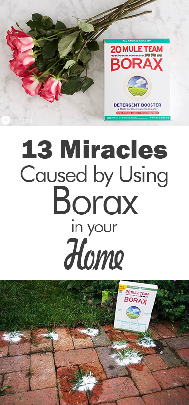 13 Miracles Caused by Using Borax in Your Home | 101 Days of Organization