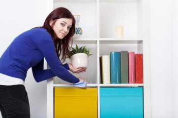 Dusting Hacks: Cleaning, Quicks Tips-101daysoforganization.org